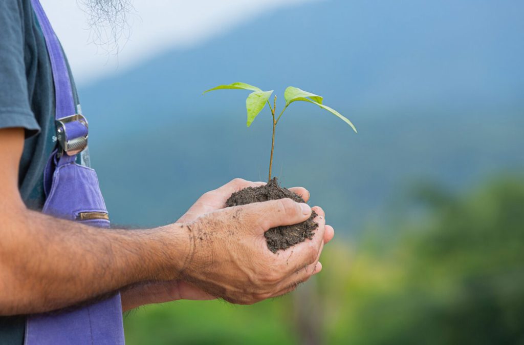 7 Steps to Create a Complete Marketing Strategy this Year – Suminsem